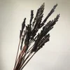 Forged Floral — little farmhouse flowers
