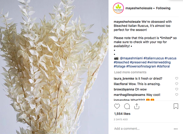 bleached: the cost of altered floral materials — little farmhouse flowers