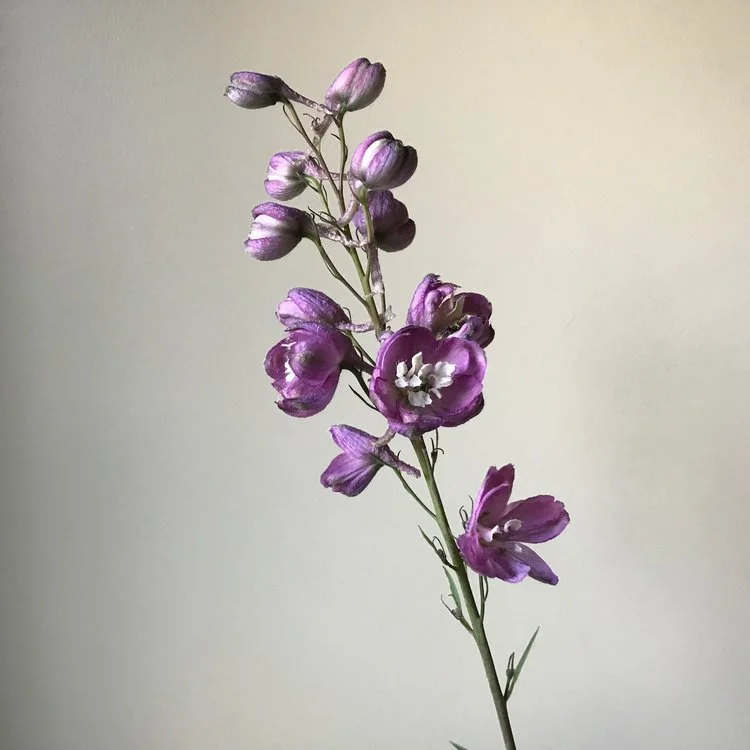 Perennial Substitutes — little farmhouse flowers