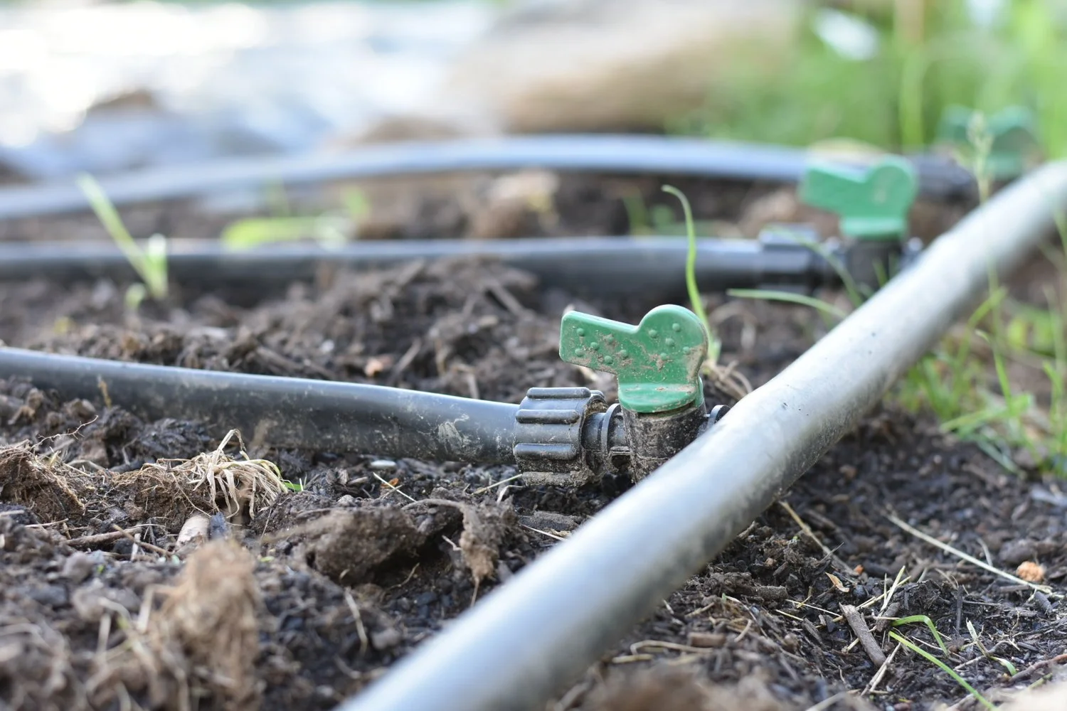 Installing Drip Irrigation — little farmhouse flowers
