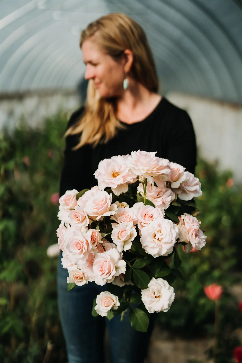 Grow Cold Hardy Roses — little farmhouse flowers