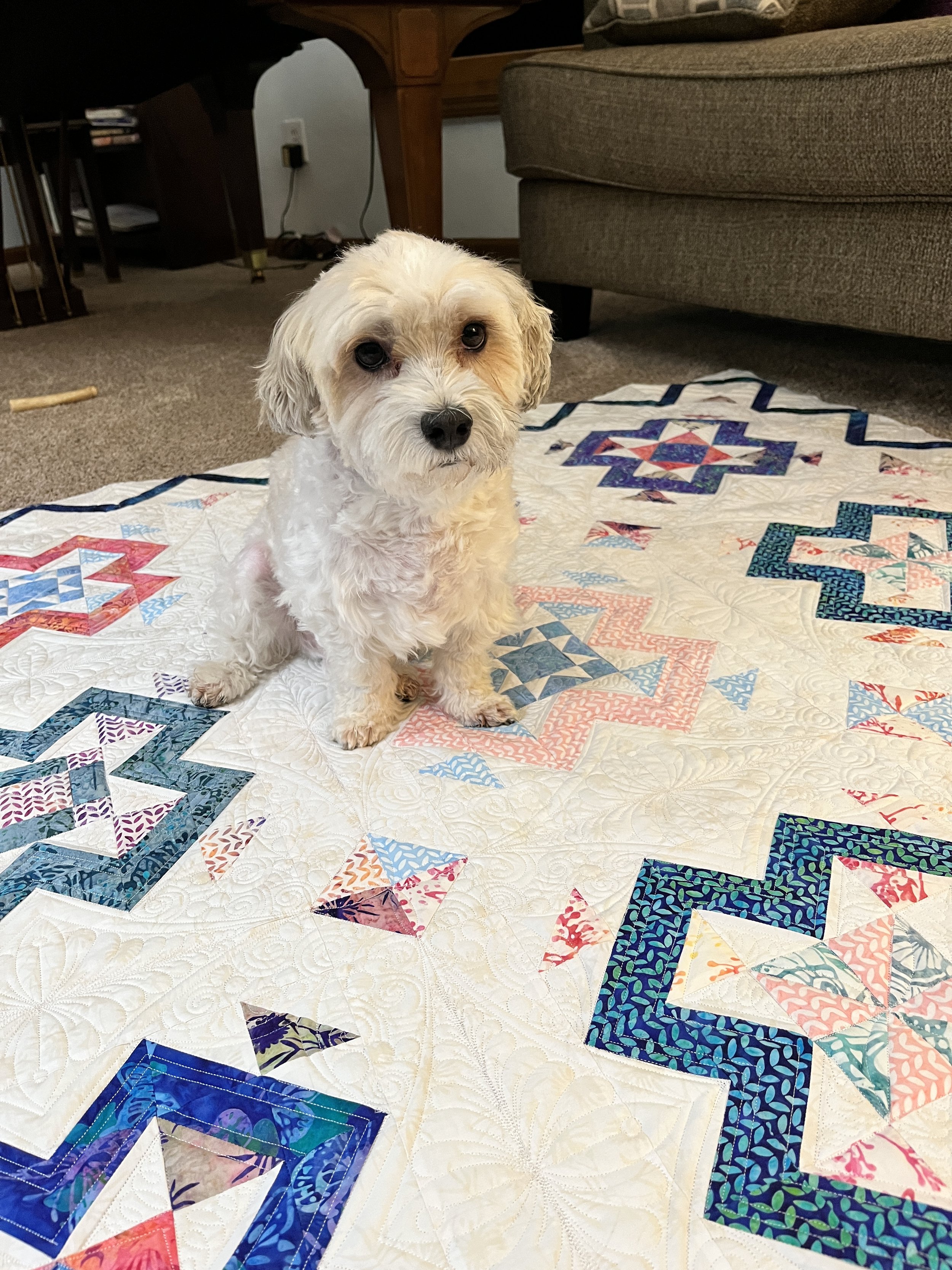 My new one of kind quilt with the Celebration block! — Pierce St. Quilting - Custom Longarm Quilting