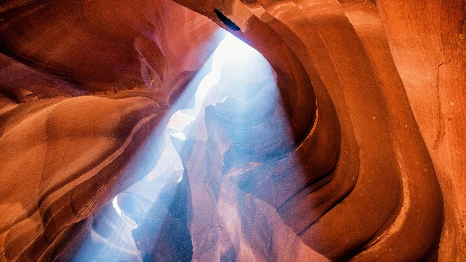 Self-Assessment Form — Holon Experience