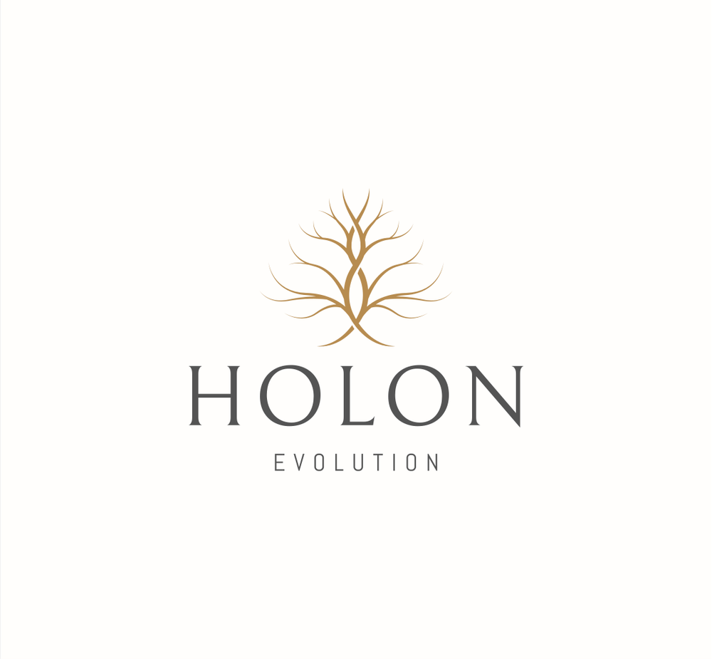 What is Holon? — Holon Experience