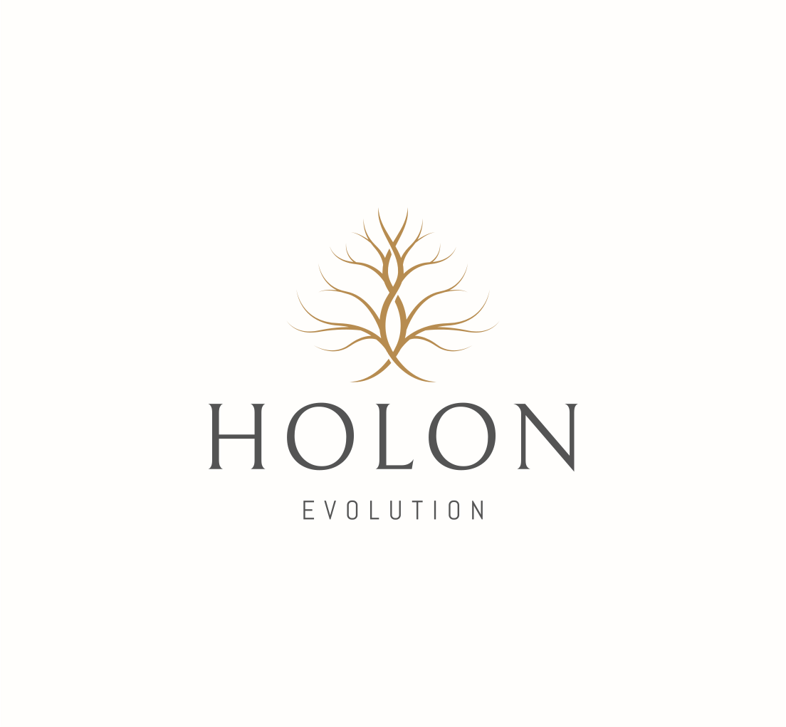 What is Holon? — Holon Experience