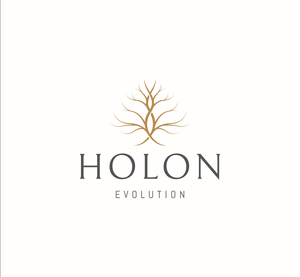 What is Holon? — Holon Experience