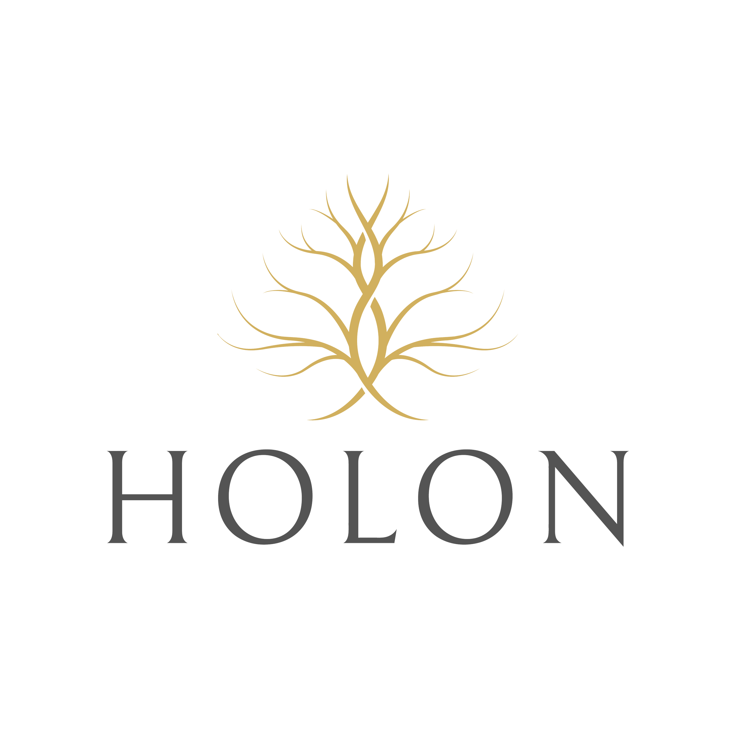 About Holon — Holon Experience