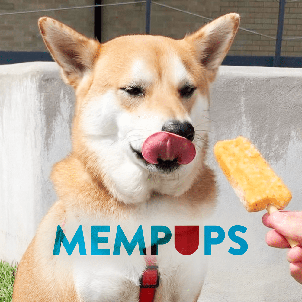 FRUIT + CREAM — Mempops