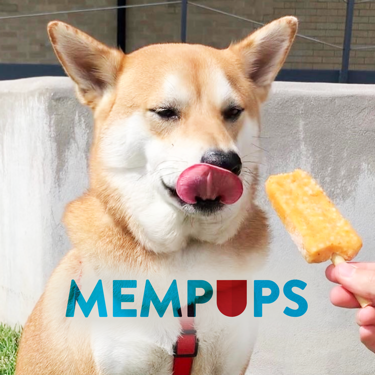 FRUIT + CREAM — Mempops