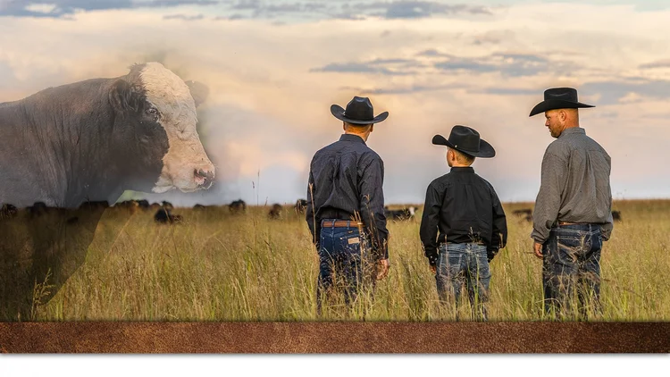 Werning Cattle Company