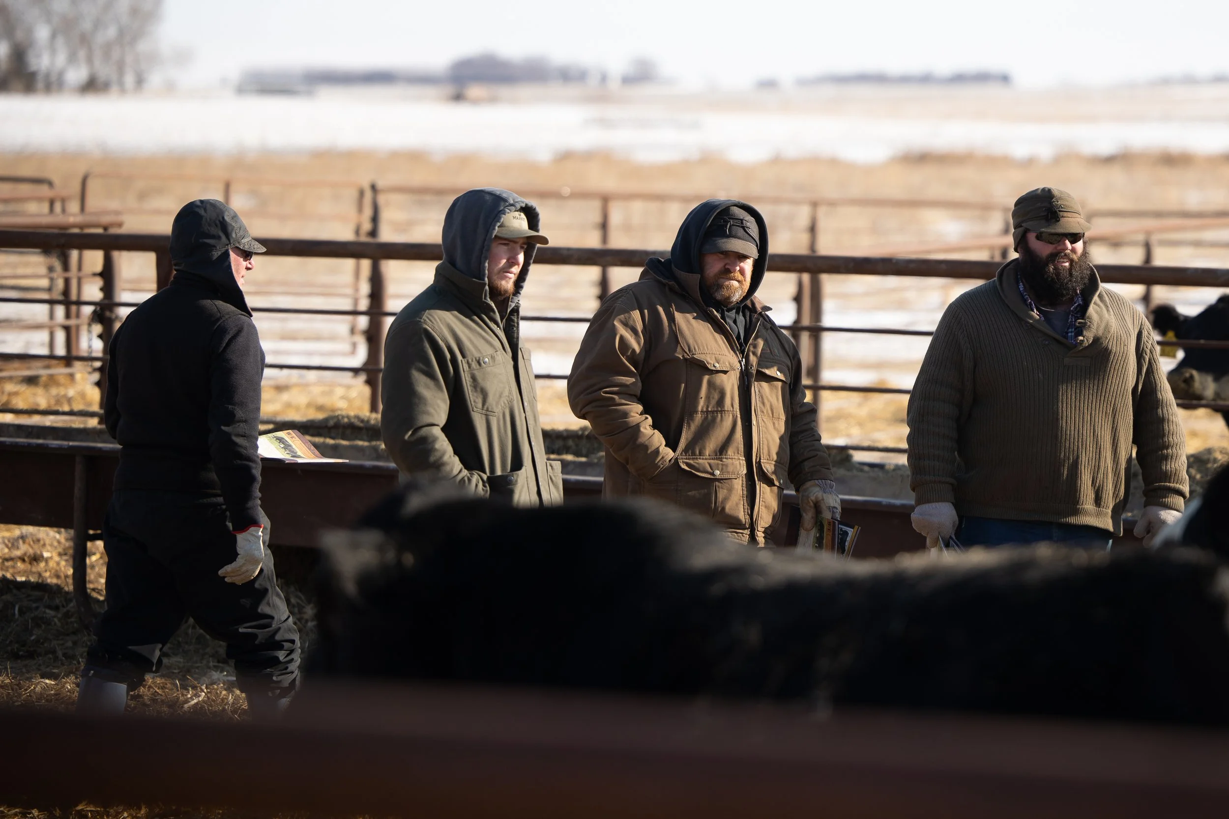Werning Cattle Company