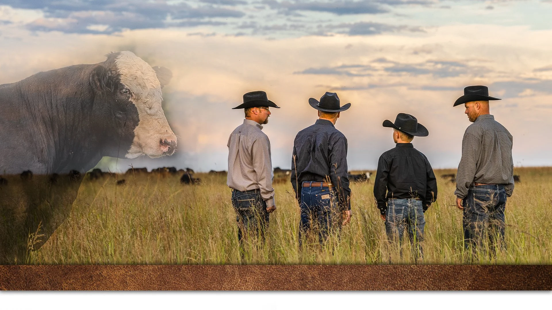 Werning Cattle Company