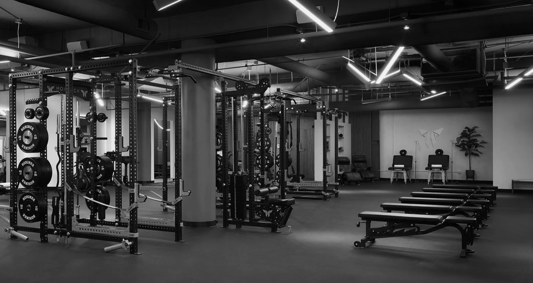Monarch Athletic Club: A Premier Luxury Gym, Athletic Club, and ...