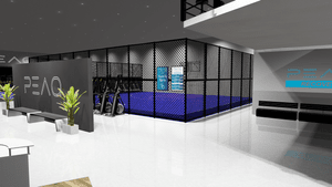 PEAQ Performance Centre | Strength & Conditioning | Athletic Performance and Development ...