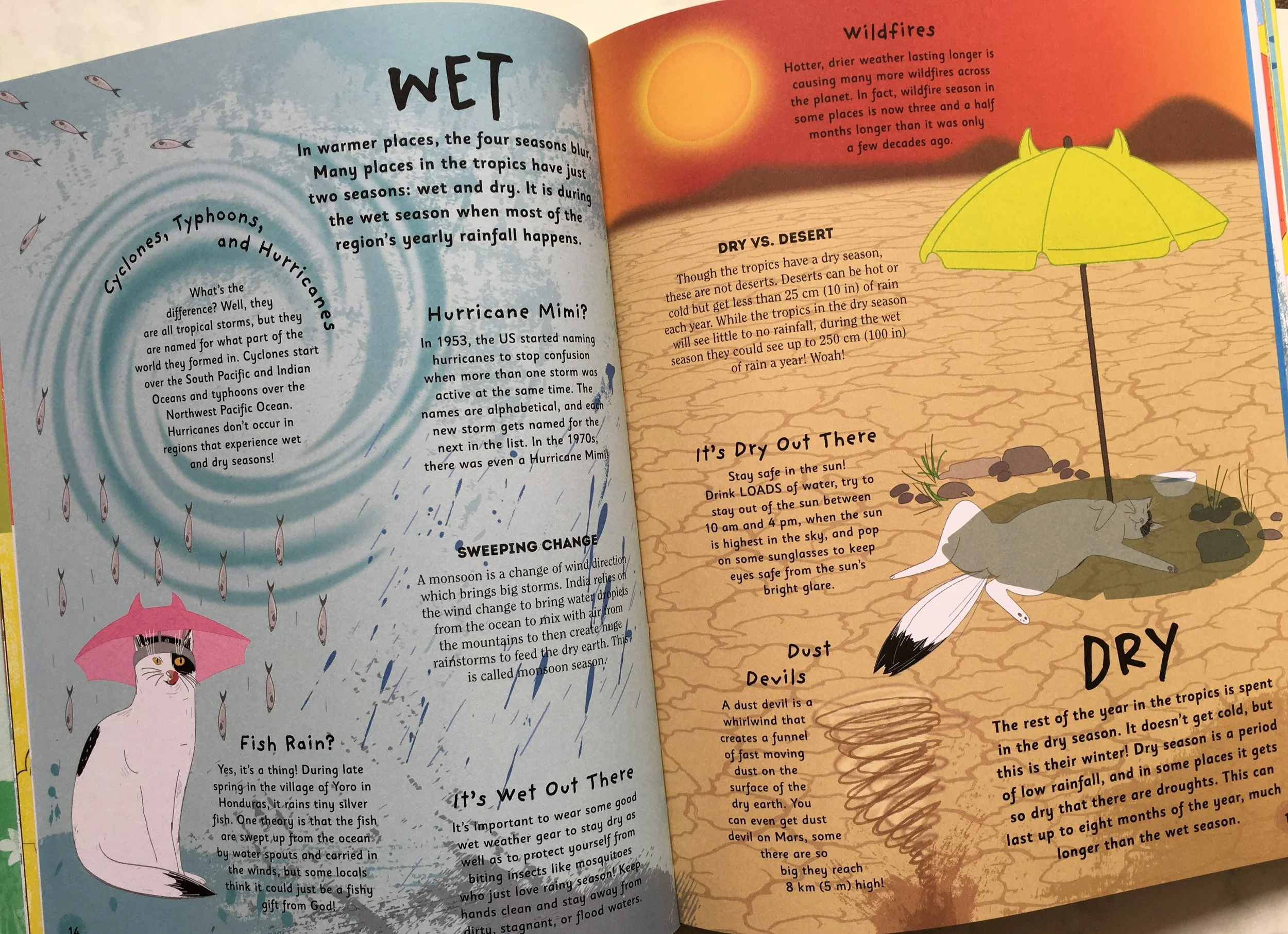 The Magic of Seasons: A Fascinating Guide to Seasons Around the World ...