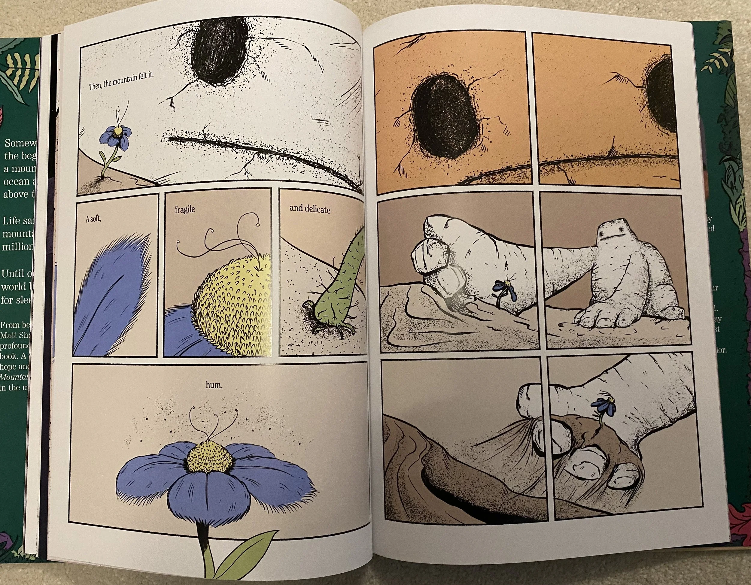 When the Mountain Wakes — Through the Bookshelf