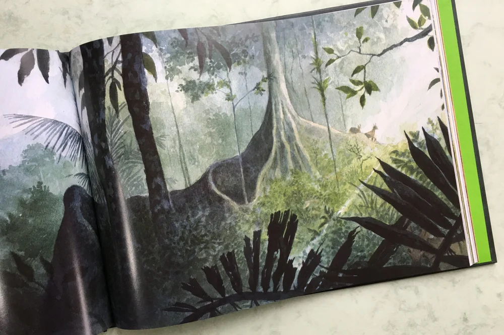 Saving Sorya: Chang and the Sun Bear — Through the Bookshelf