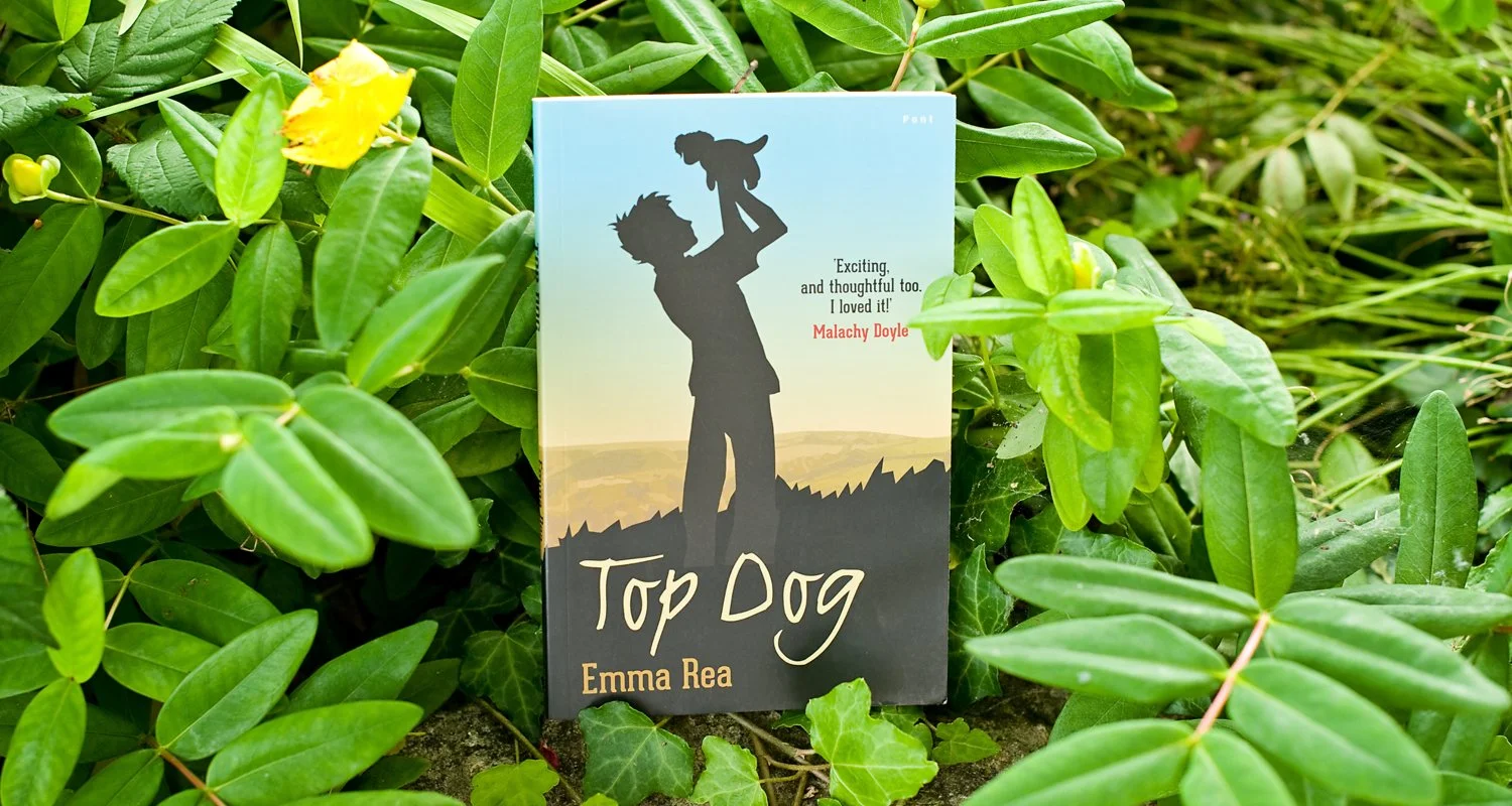 Top Dog Guided Reading Notes — Through the Bookshelf