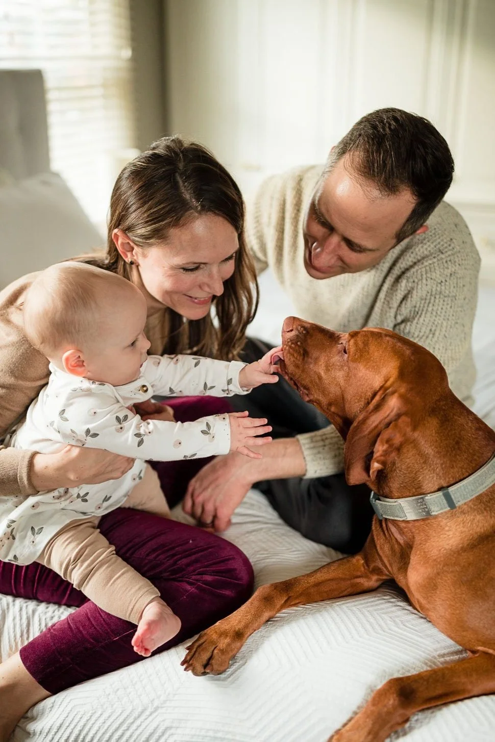 Is your home too small/messy/dark for an in-home session? — Heart Sung ...