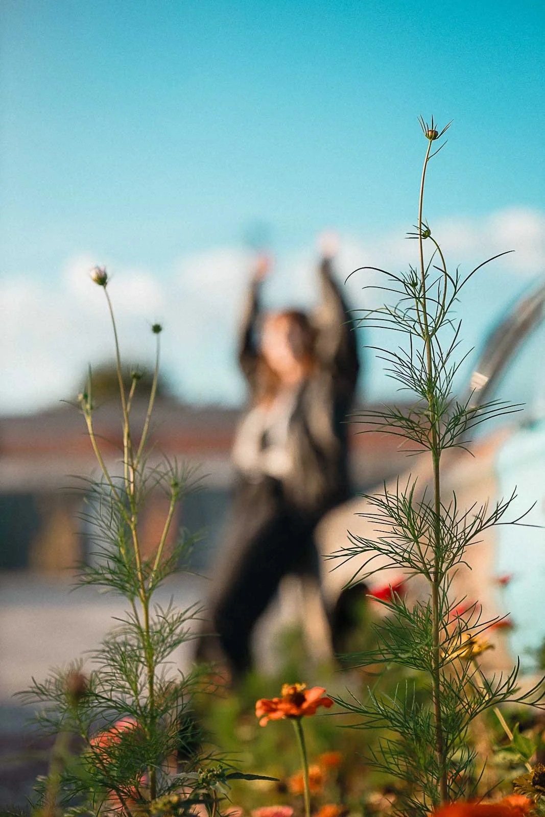 Three reasons to get creative with your Senior Photos — Heart Sung ...