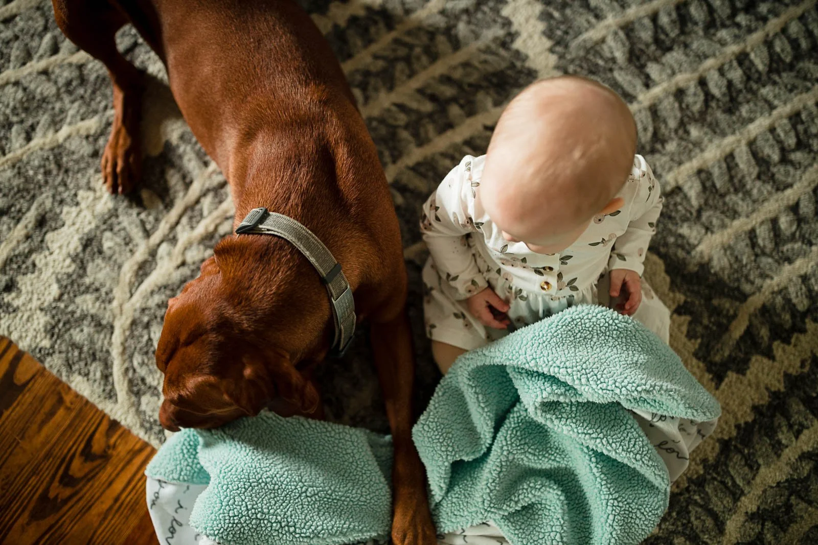 Is your home too small/messy/dark for an in-home session? — Heart Sung ...