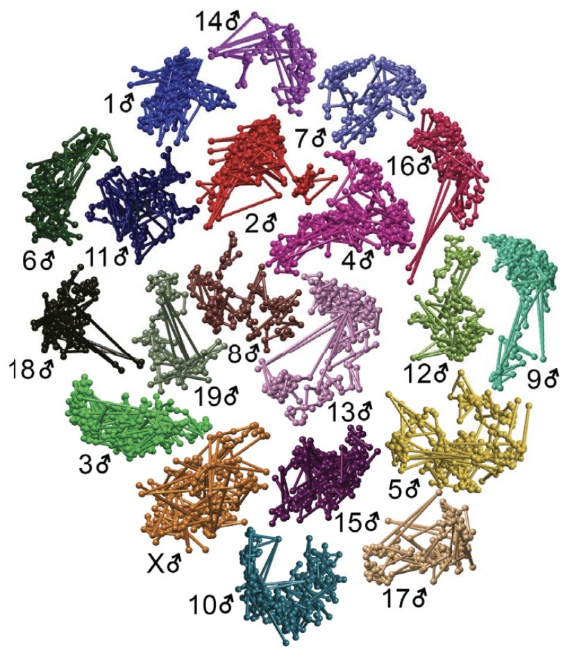 Research — Buenrostro Lab