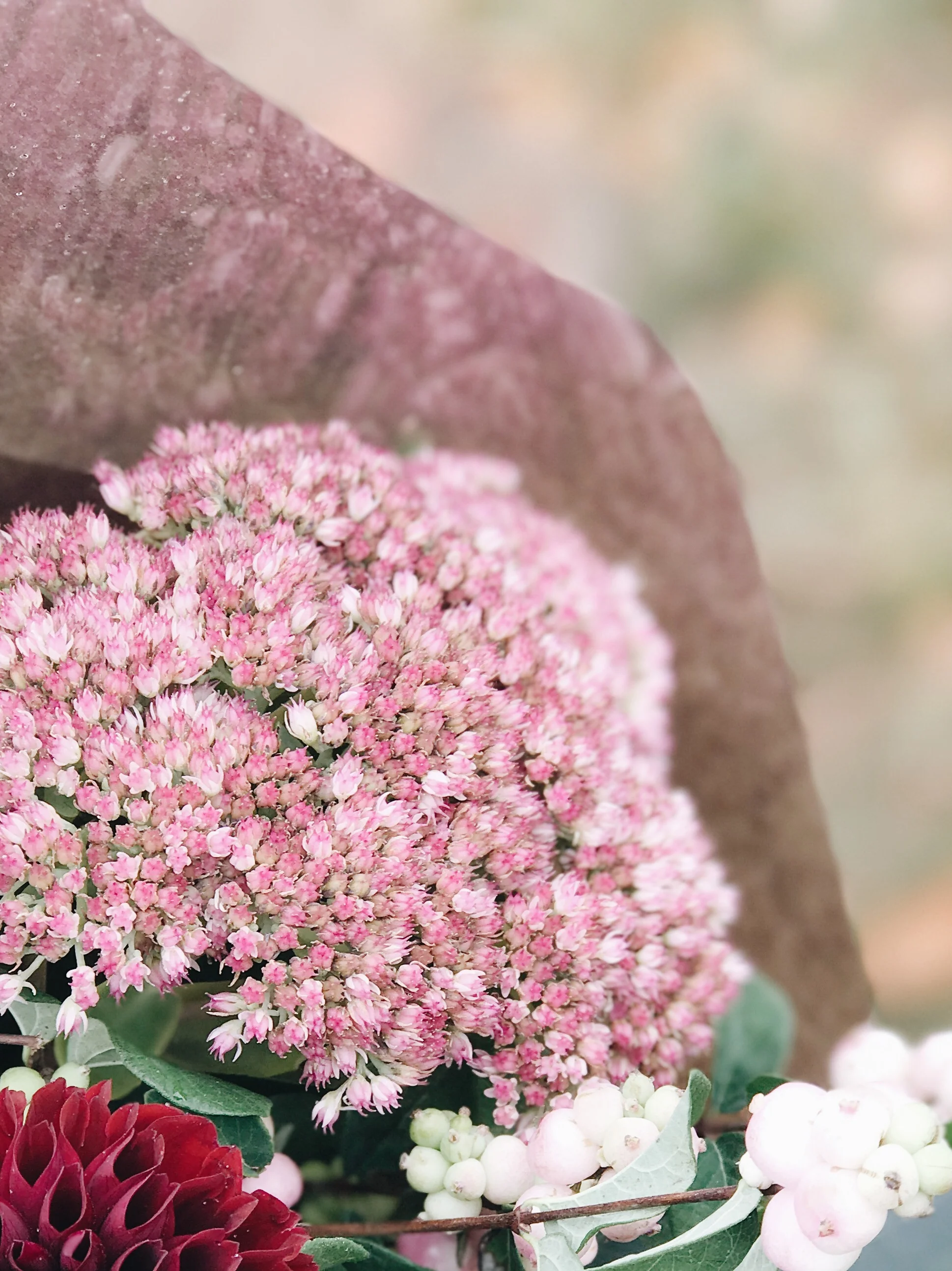 Nyla Free Designs Inc. - Let's Learn: Fall Flowers 101