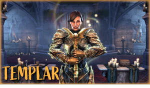 Templar DPS — skinnycheeks.gg