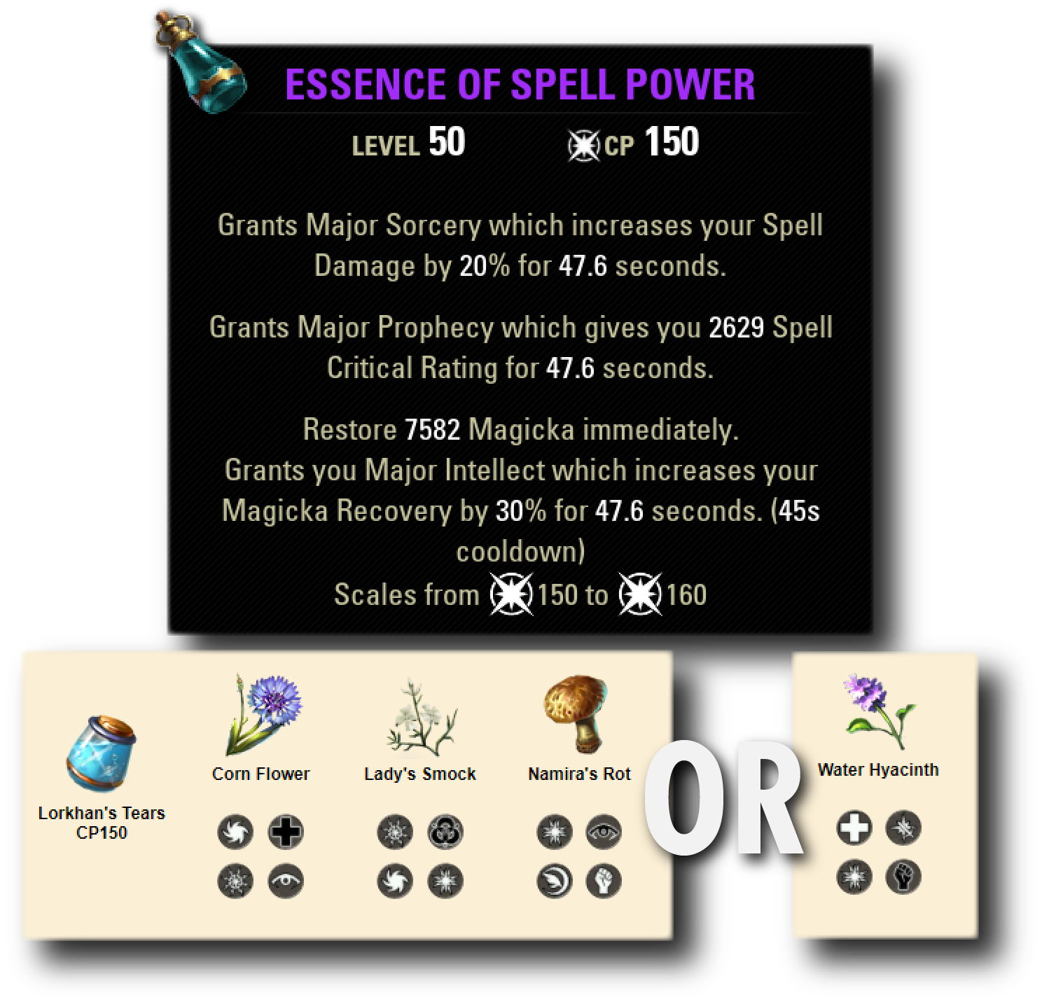 Build Basics — skinnycheeks.gg