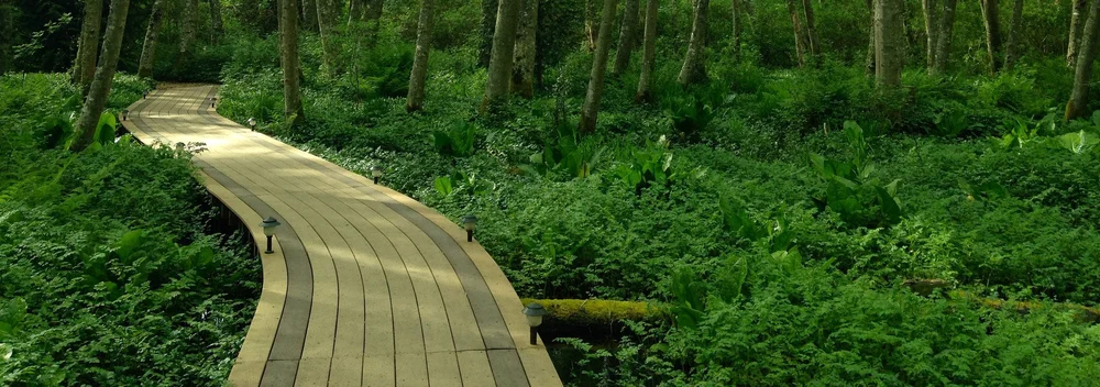 Amanda Fenton Consulting