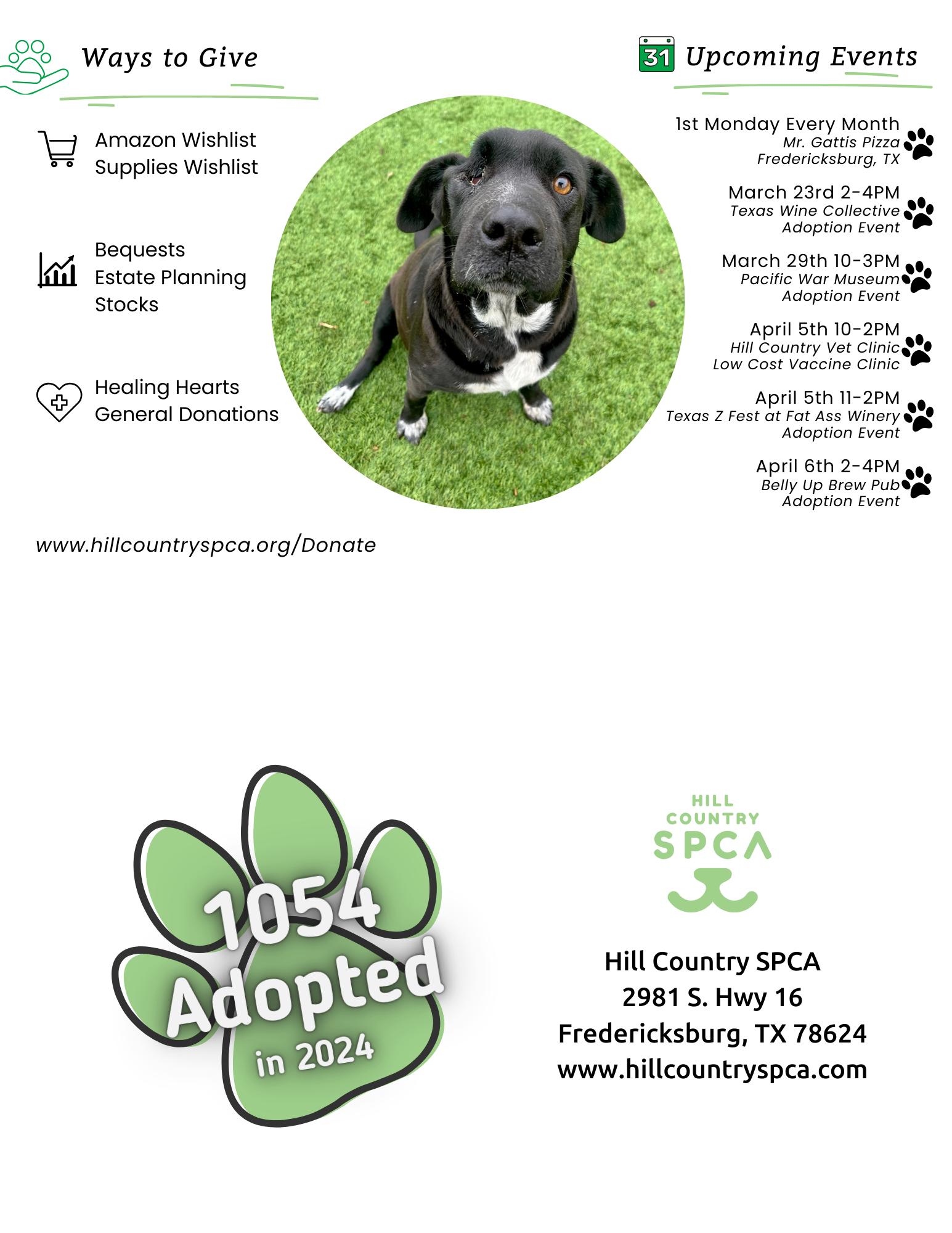 Newsletter — Hill Country SPCA