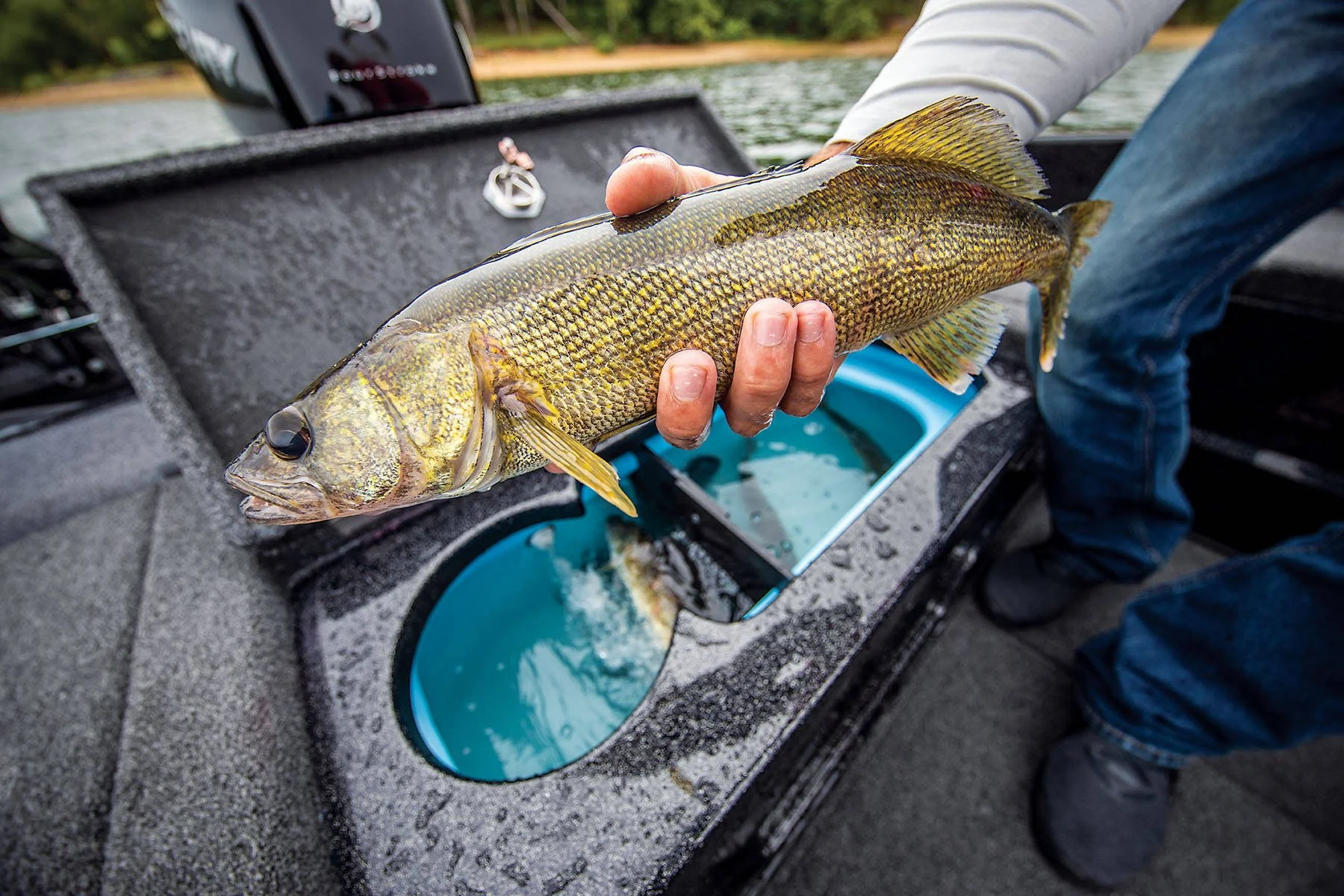 Fishing Guides — Woodland Resort- Devils Lake, North Dakota