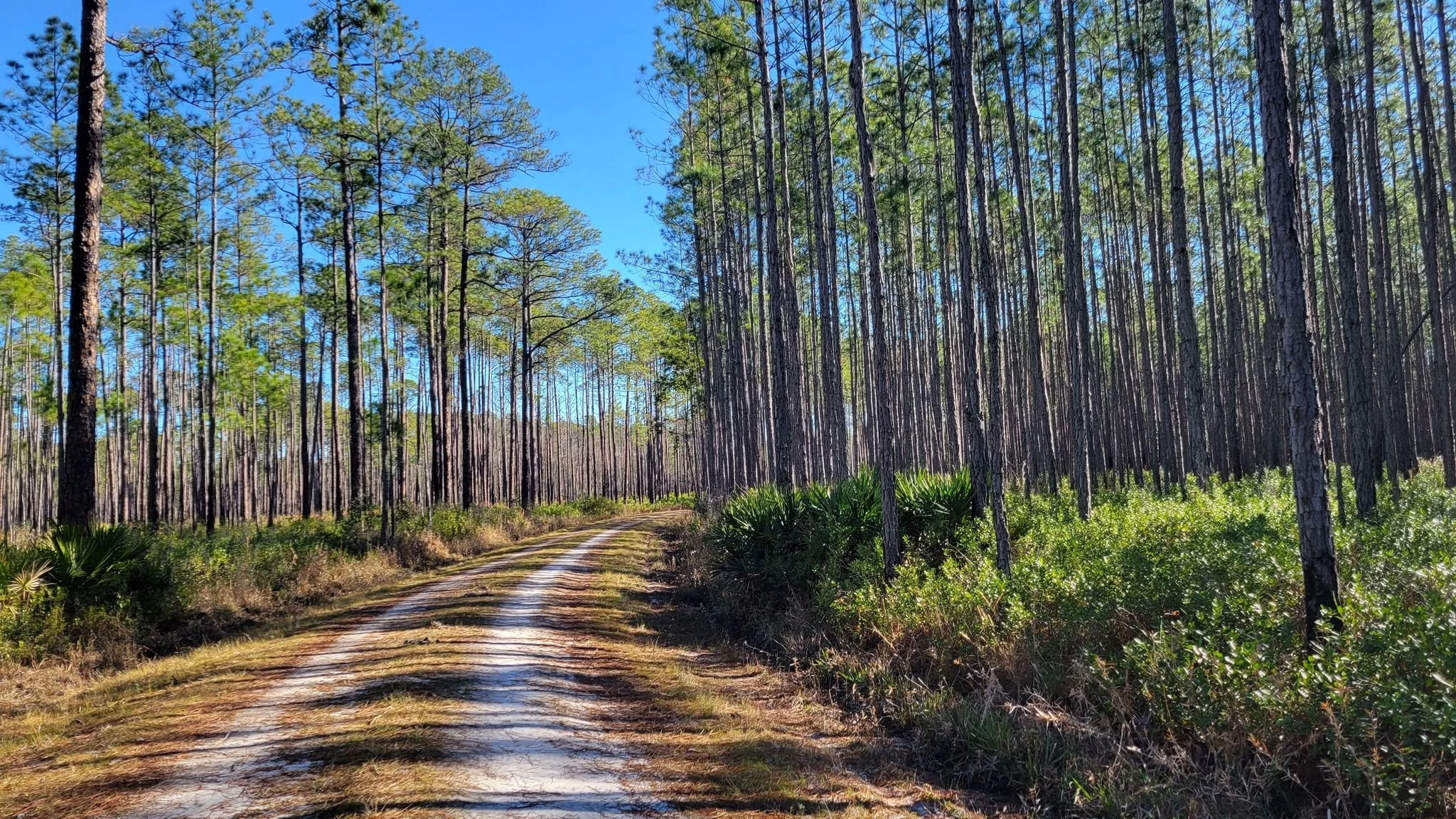 Trail Directory — SORBA JAX