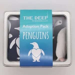 Fun Book-Themed Activities for Mr Popper's Penguins _ Reading Quests