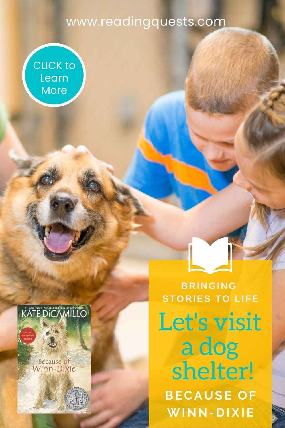 Fun Book-Themed Activities for Because of Winn-Dixie (+PDF) _ Reading ...