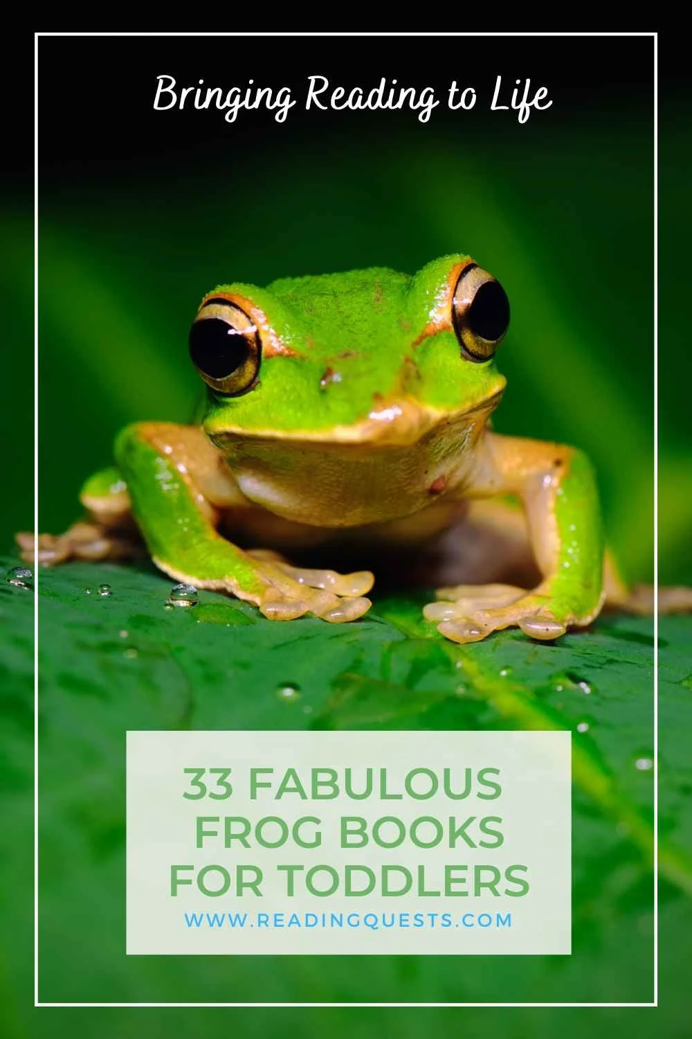 33 Fabulous Frog Books For Toddlers _ Reading Quests