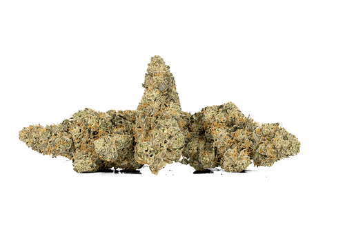 Don Mega — MOHAVE CANNABIS CO.