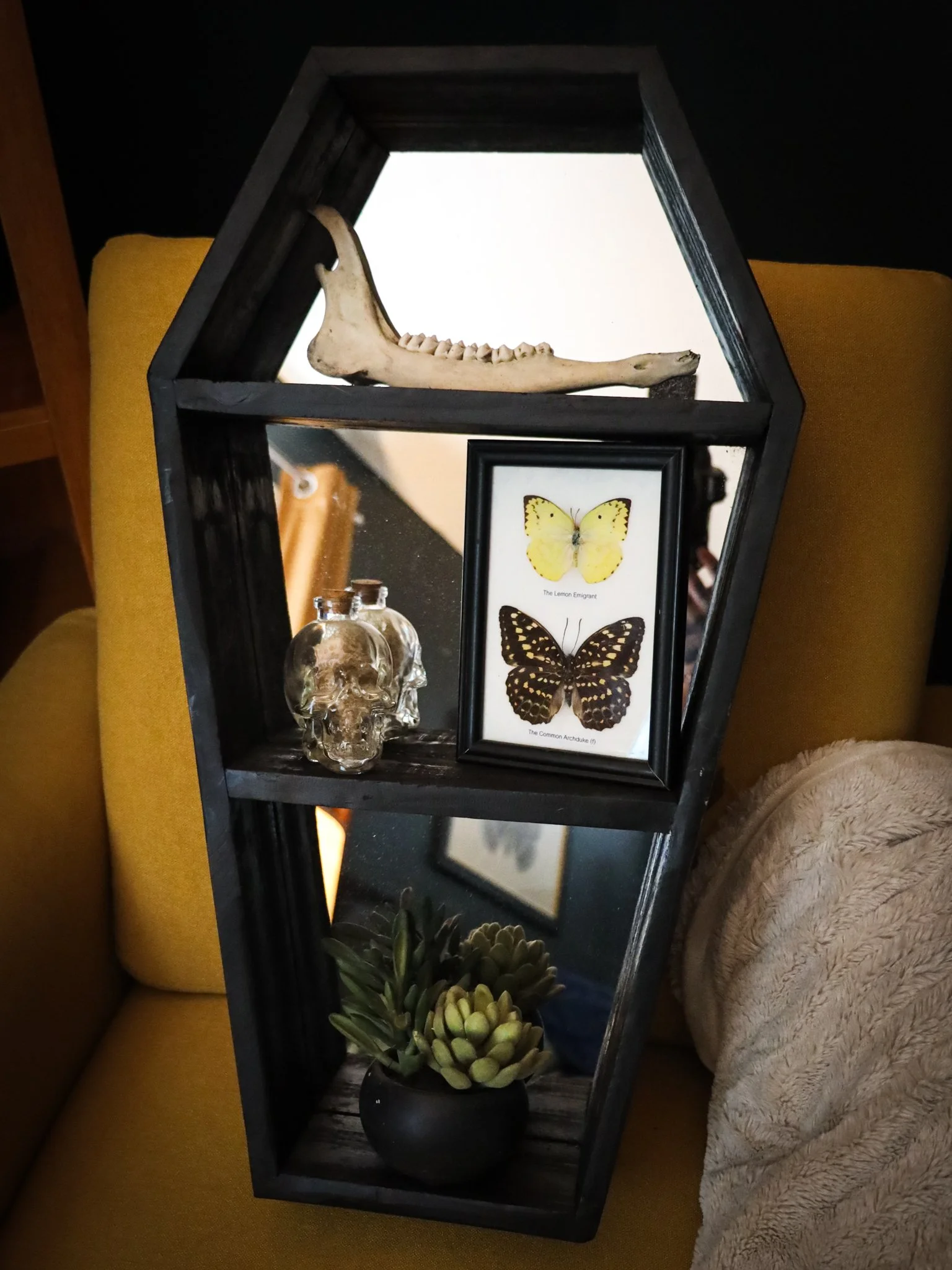 Shop — Just Buried Co.