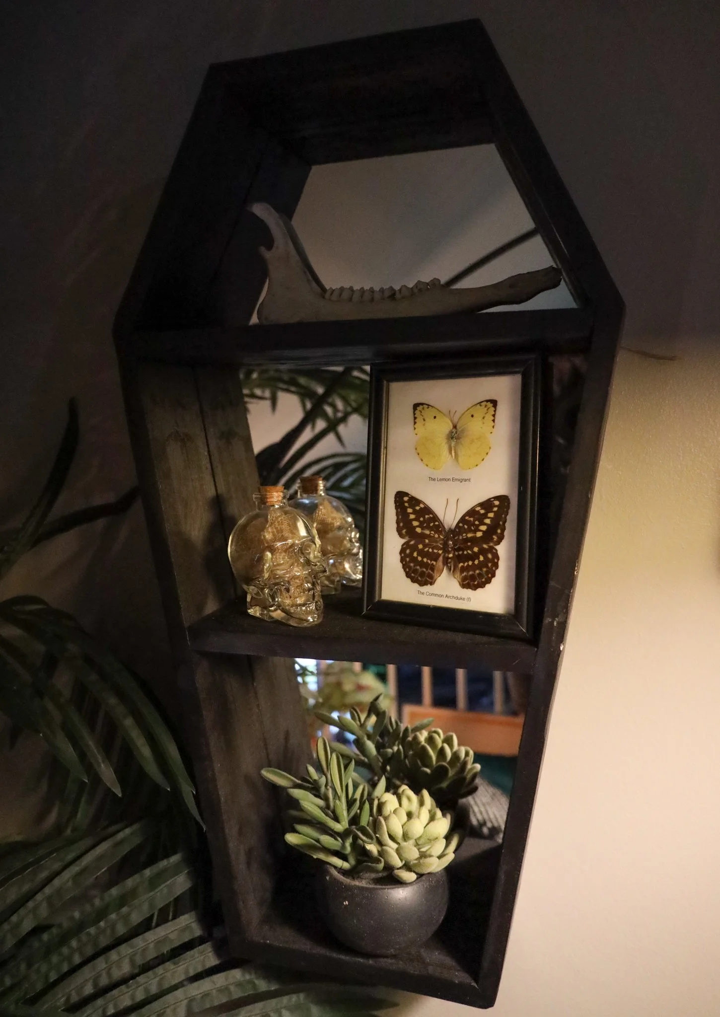 2 Ft Coffin Shelf — Just Buried Co.