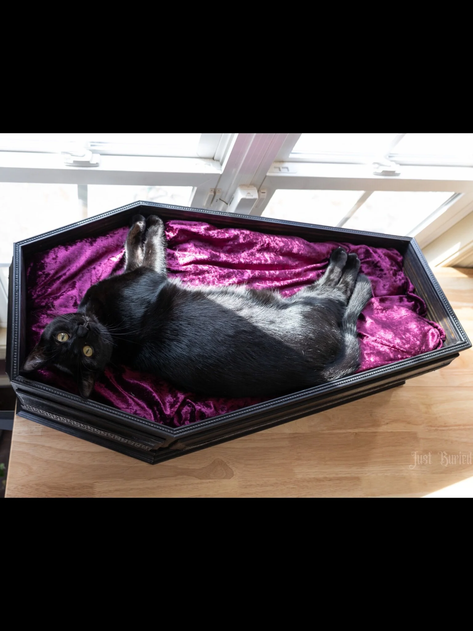 Shop — Just Buried Co.