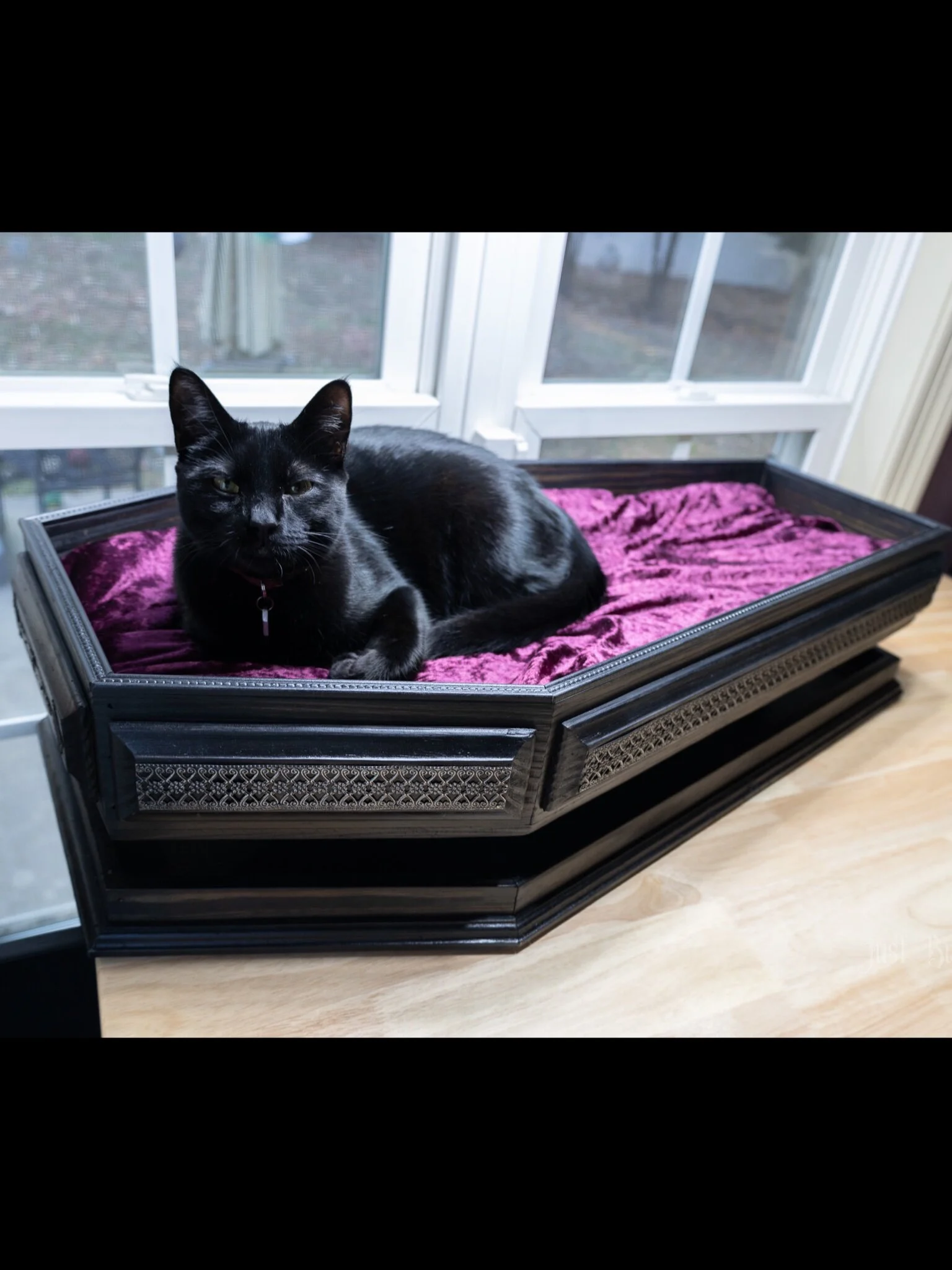 Shop — Just Buried Co.