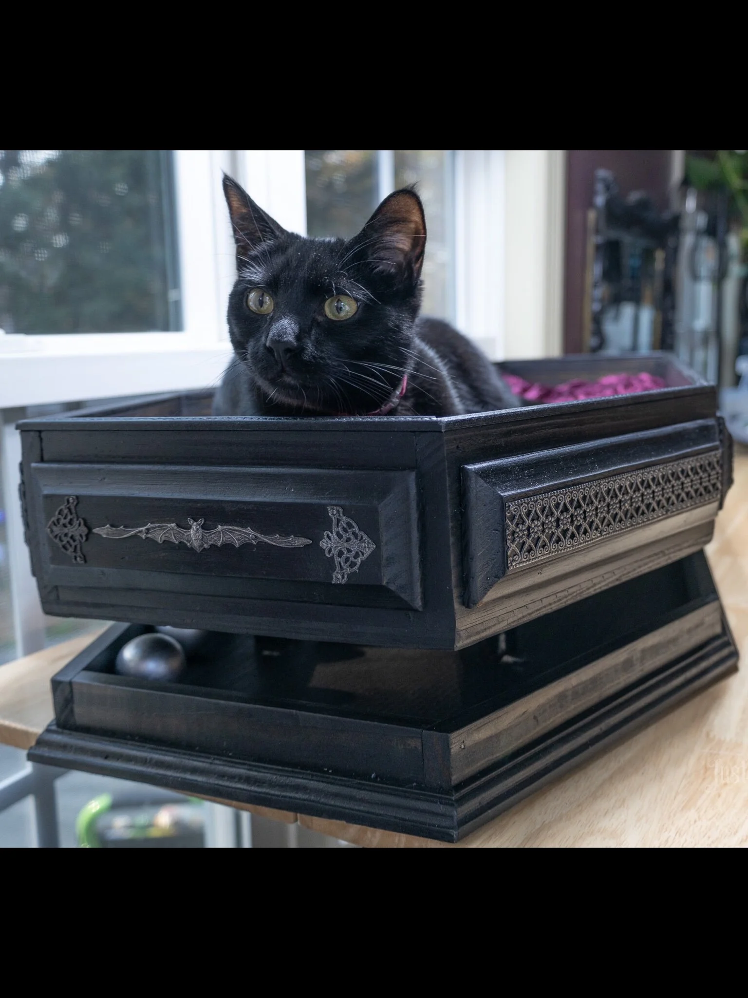 Shop — Just Buried Co.