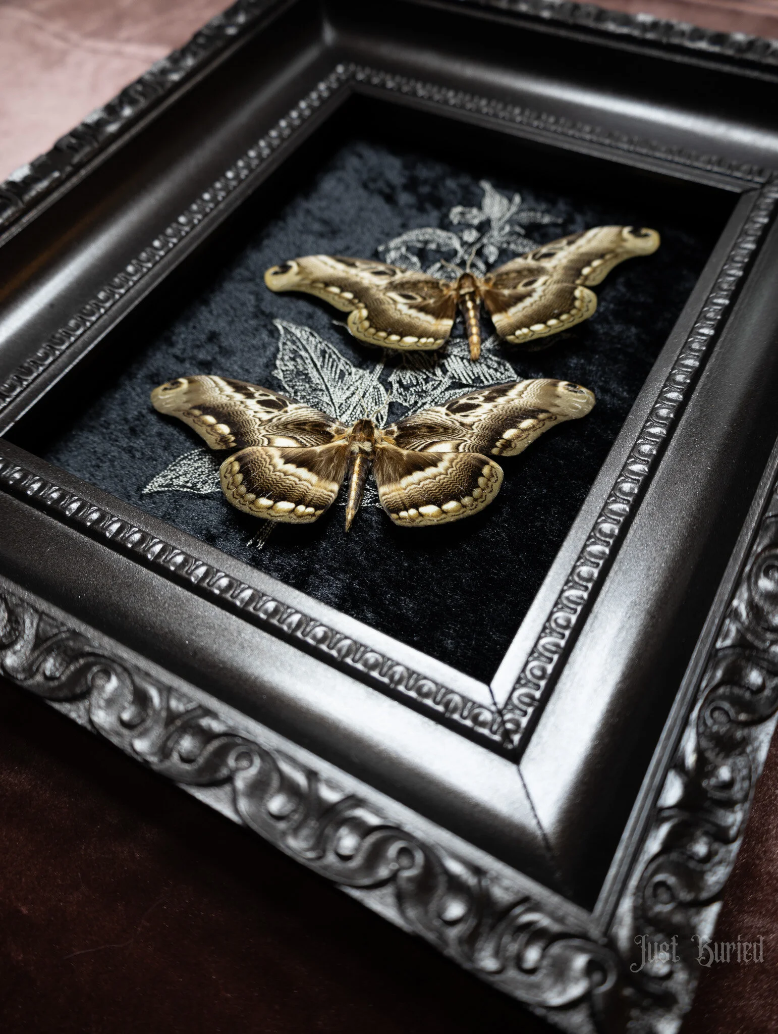 Store 1 — Just Buried Co.