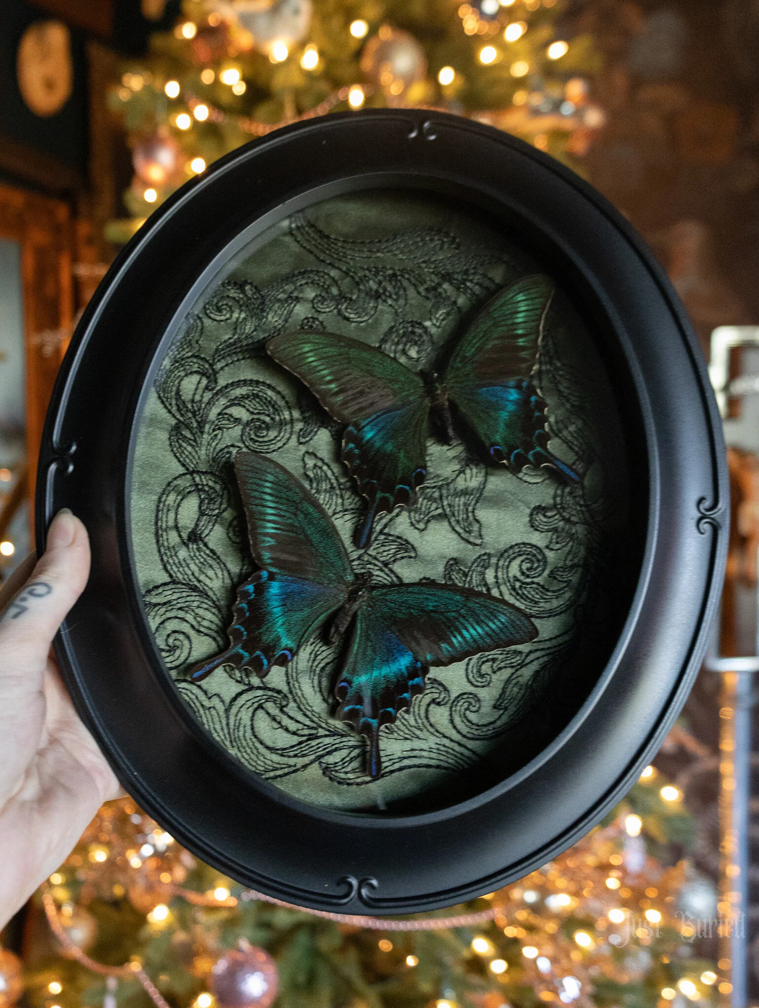 Store 1 — Just Buried Co.