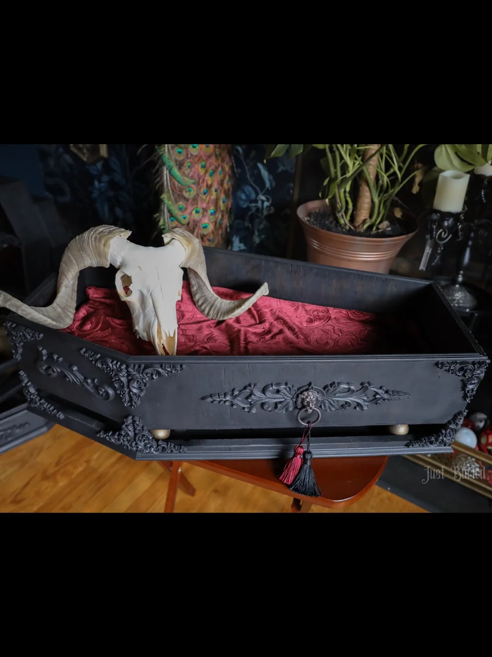 Shop — Just Buried Co.