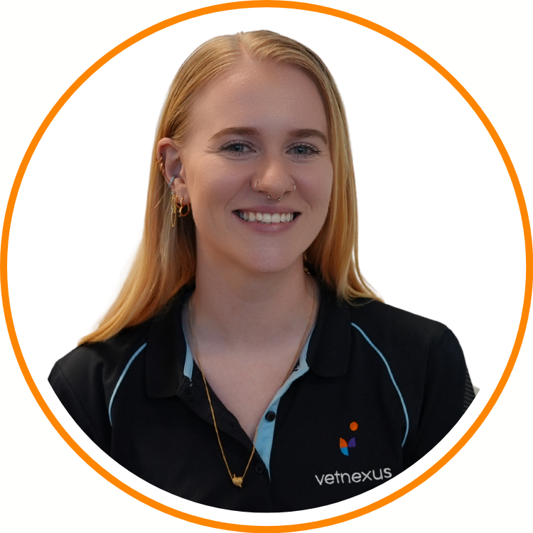 Meet Us | Enhance RTO Compliance Today — VETNEXUS | Supporting RTOs for Compliance and eLearning