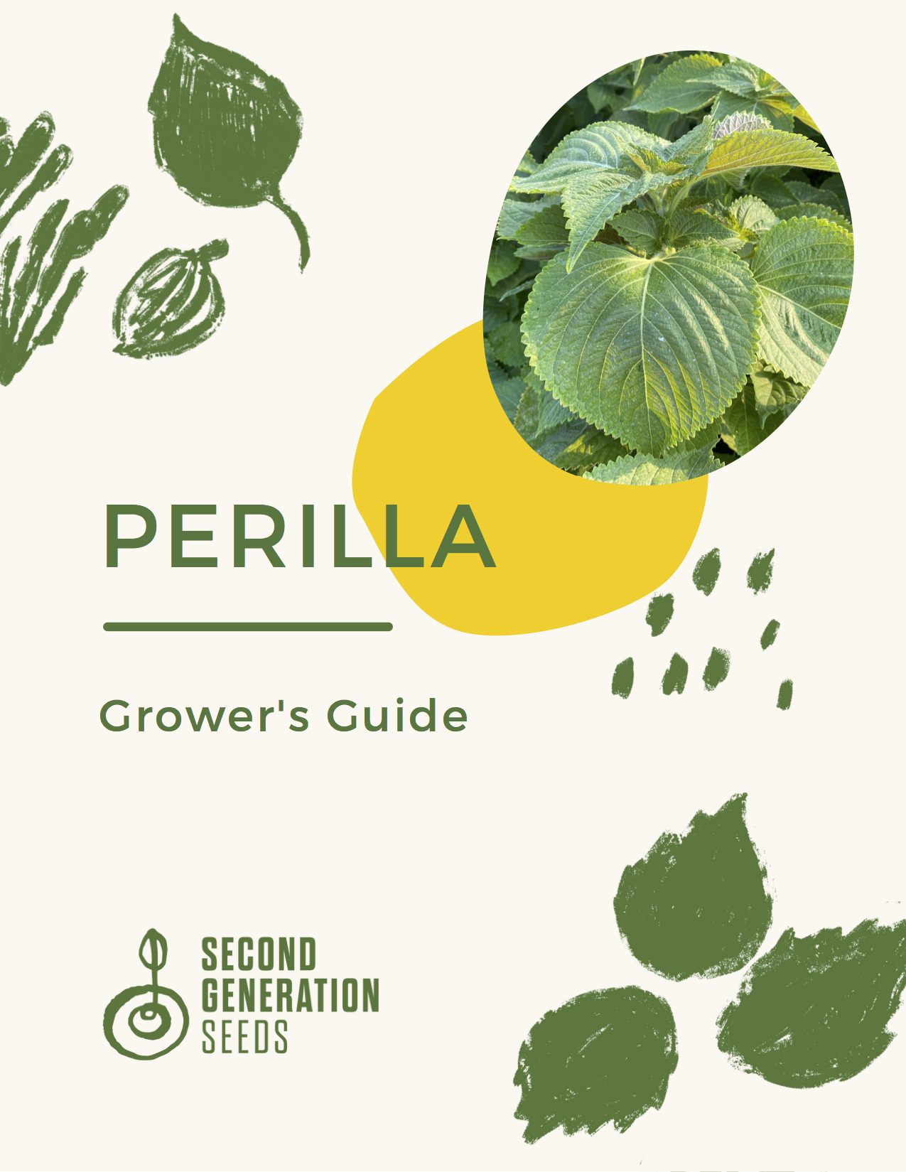 Korean Perilla 38N Kkaennip Seeds — Second Generation Seeds: Asian ...