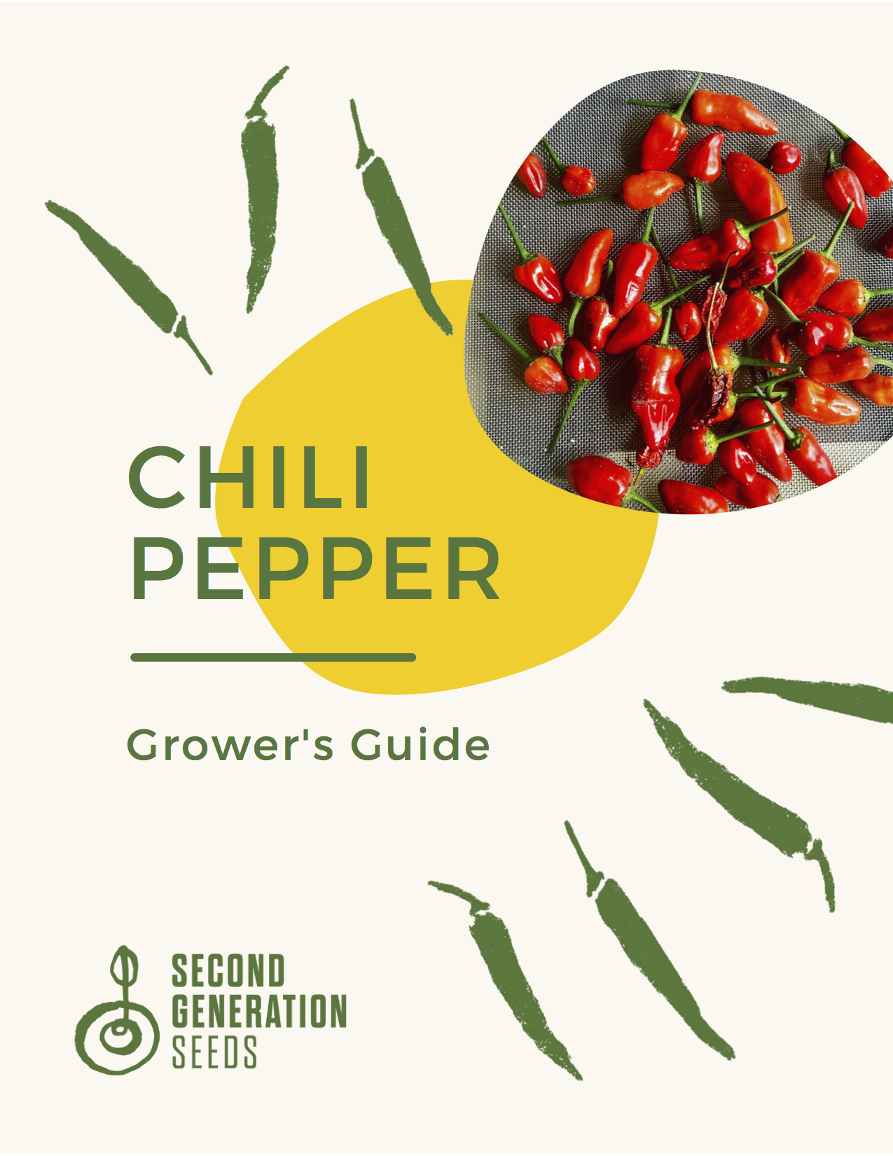Gyopo Gochu Korean Chili Pepper Seeds — Second Generation Seeds: Asian ...