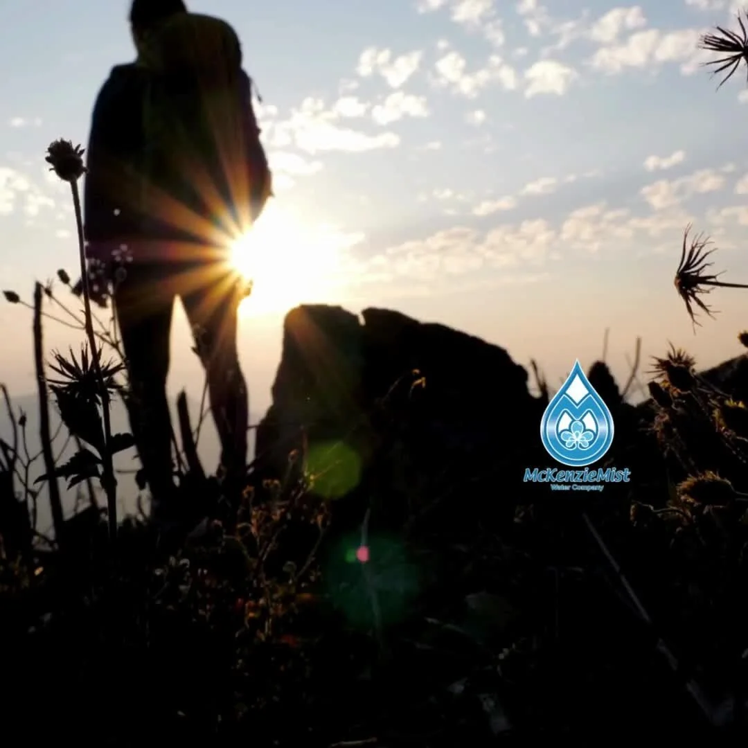 McKenzie Mist Water Company Bottled and Bulk Water Delivery