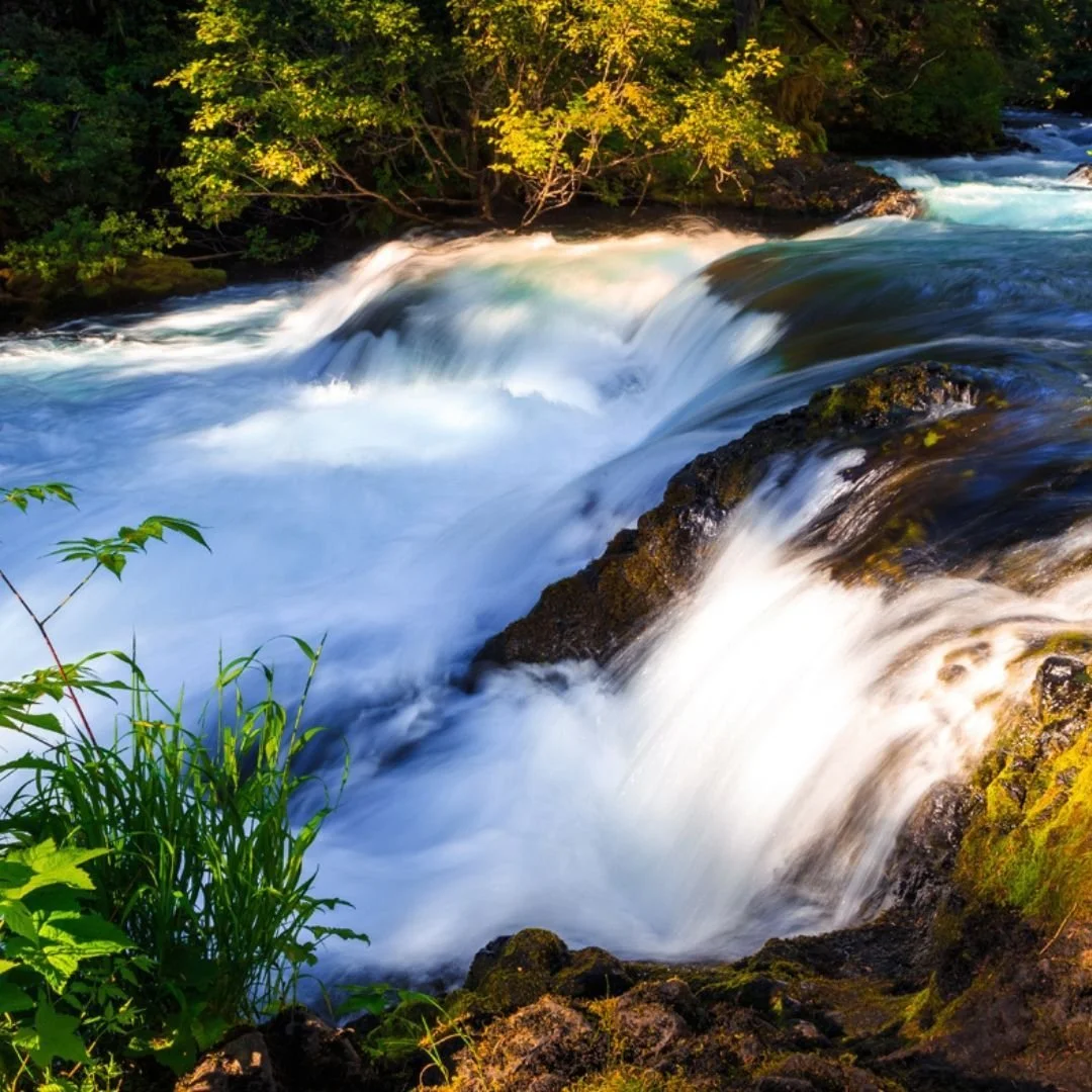 McKenzie Mist Water Company Bottled and Bulk Water Delivery